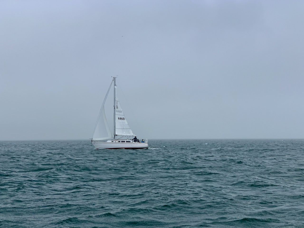 Rainbows & sails – "Bold Flight"