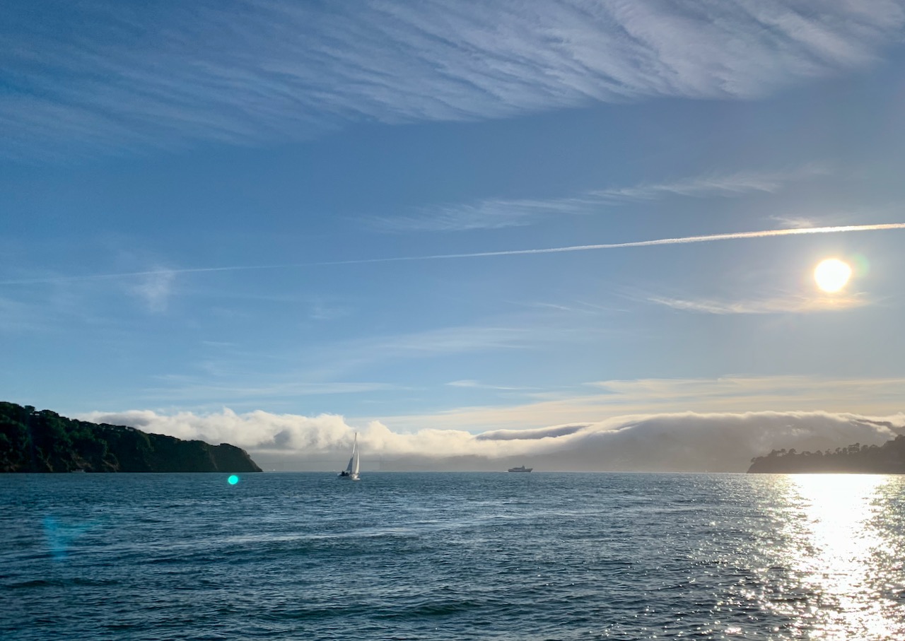 Rainbows & sails – "Bold Flight"